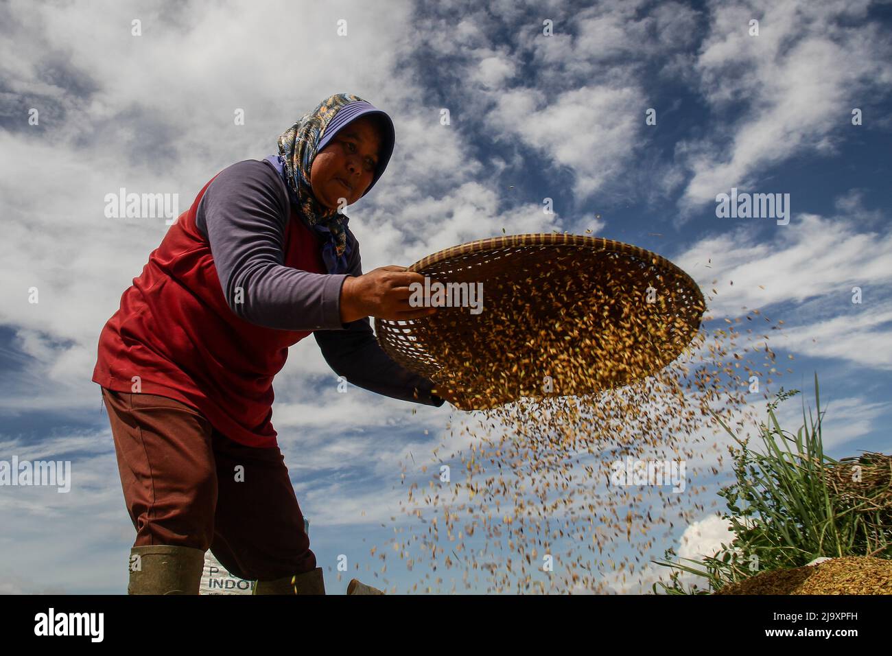 Tanjungsari, Sumedang Regency, Indonesia. 25th May, 2022. A farmer uses ...