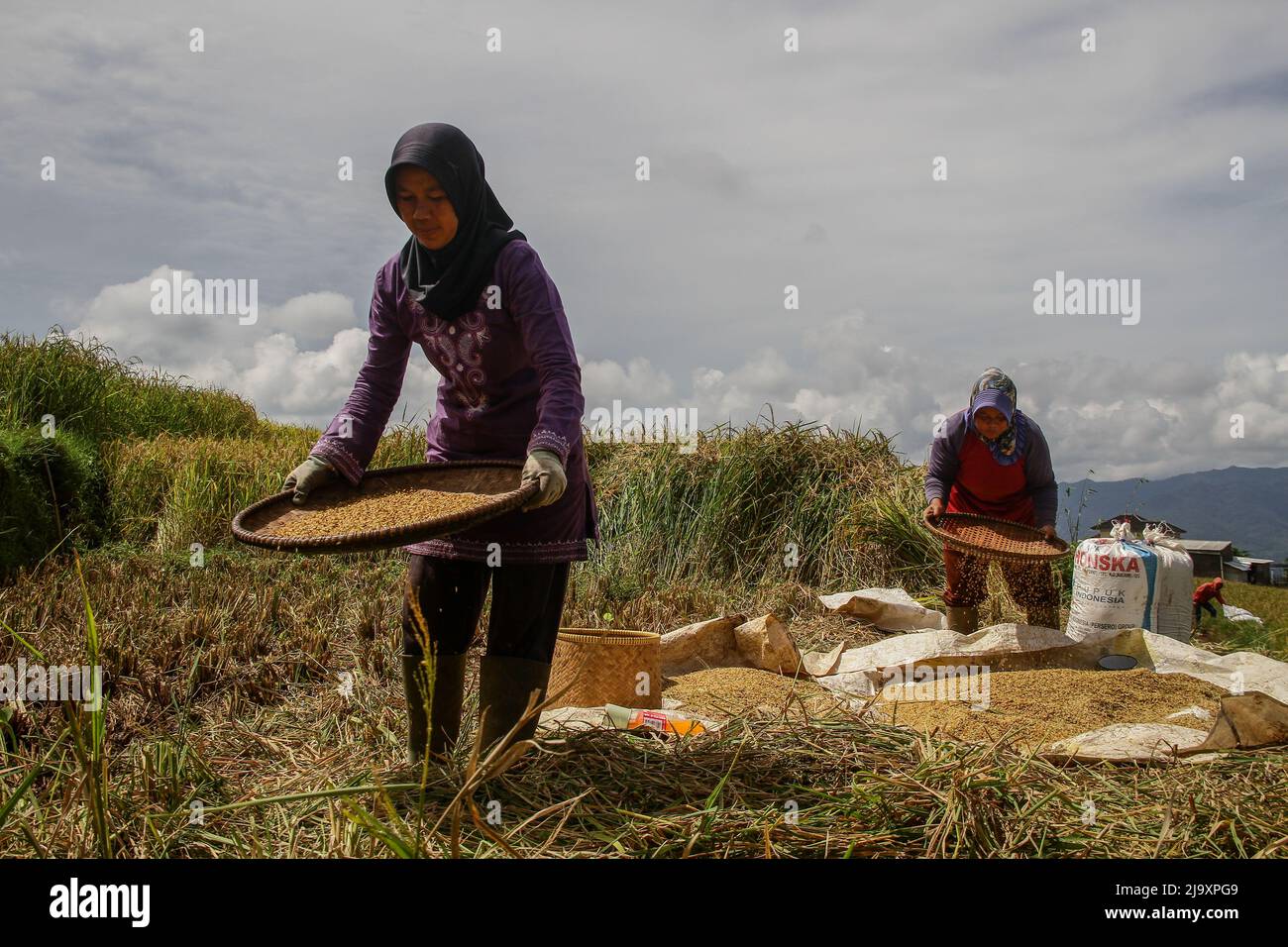 Winnowing and sorting hi-res stock photography and images - Alamy