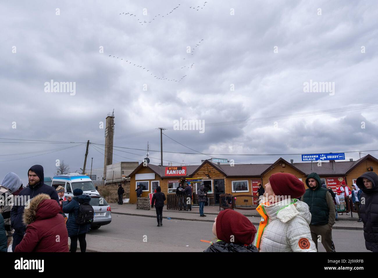 Military geese hi-res stock photography and images - Alamy
