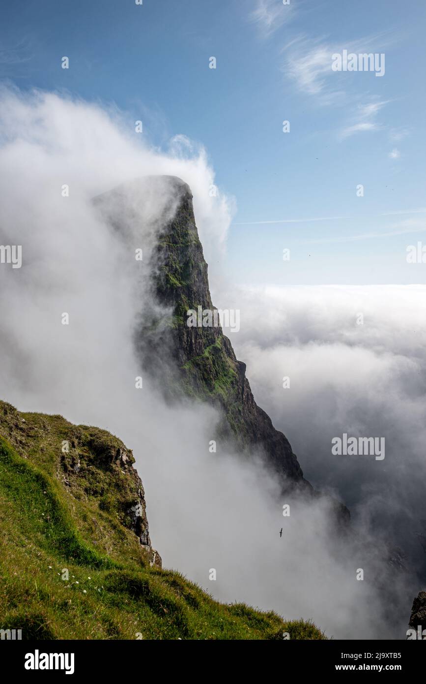 Beinisvord vertical sea cliffs, Suduroy Island, Faroe Islands Stock ...