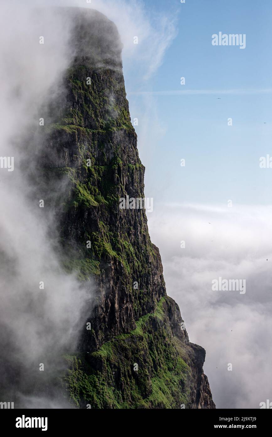 Beinisvord vertical sea cliffs, Suduroy Island, Faroe Islands Stock ...