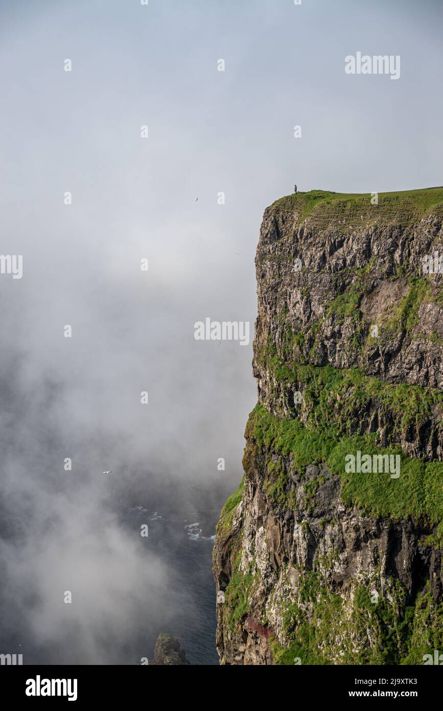 Beinisvord vertical sea cliffs, Suduroy Island, Faroe Islands Stock ...