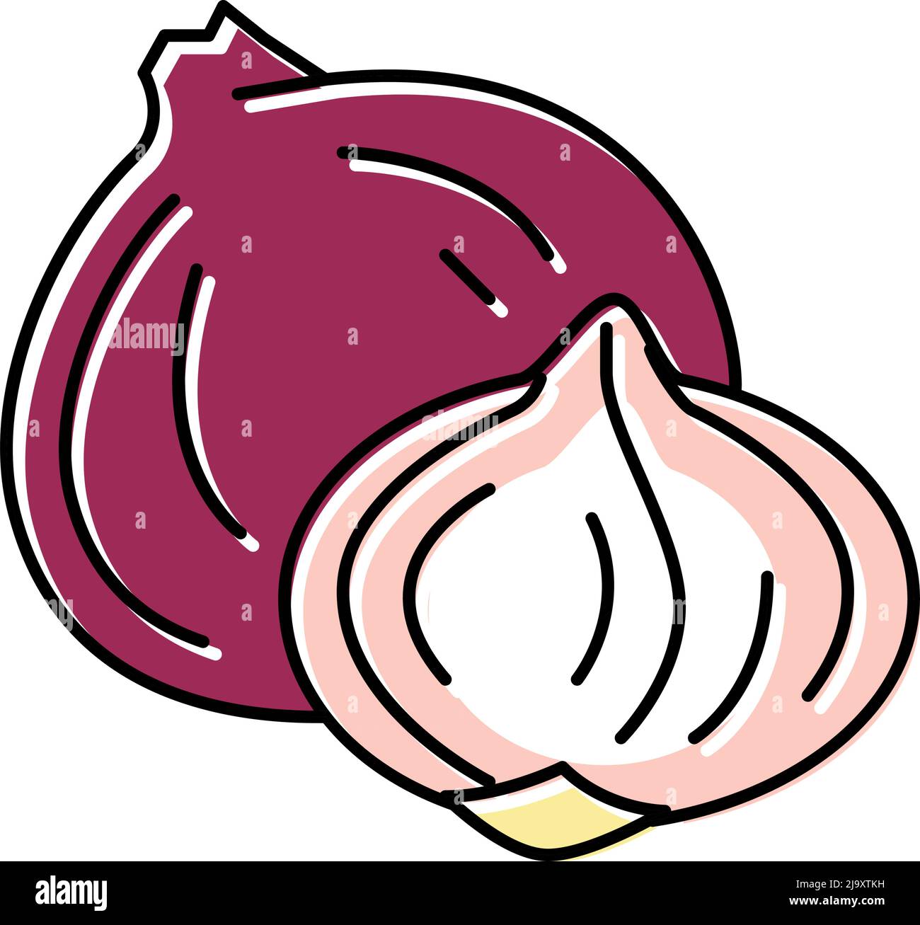purple onion color icon vector illustration Stock Vector Image & Art ...