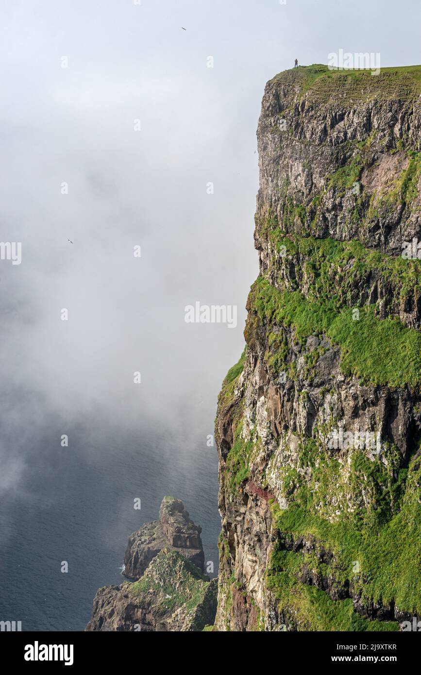 Beinisvord vertical sea cliffs, Suduroy Island, Faroe Islands Stock ...