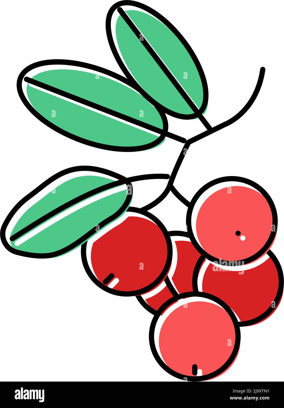 lingonberry berry color icon vector illustration Stock Vector Image ...