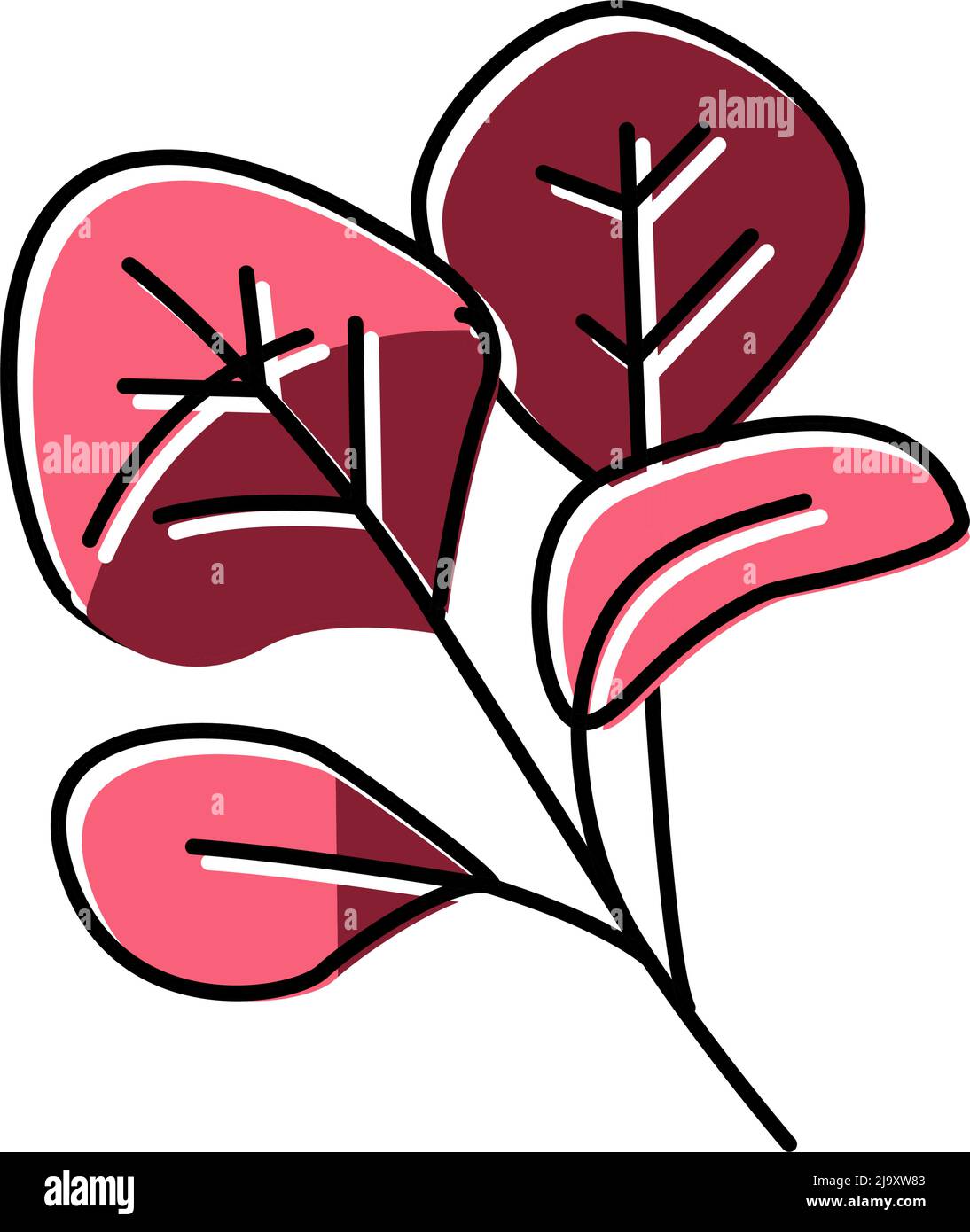 red spinach color icon vector illustration Stock Vector Image & Art - Alamy