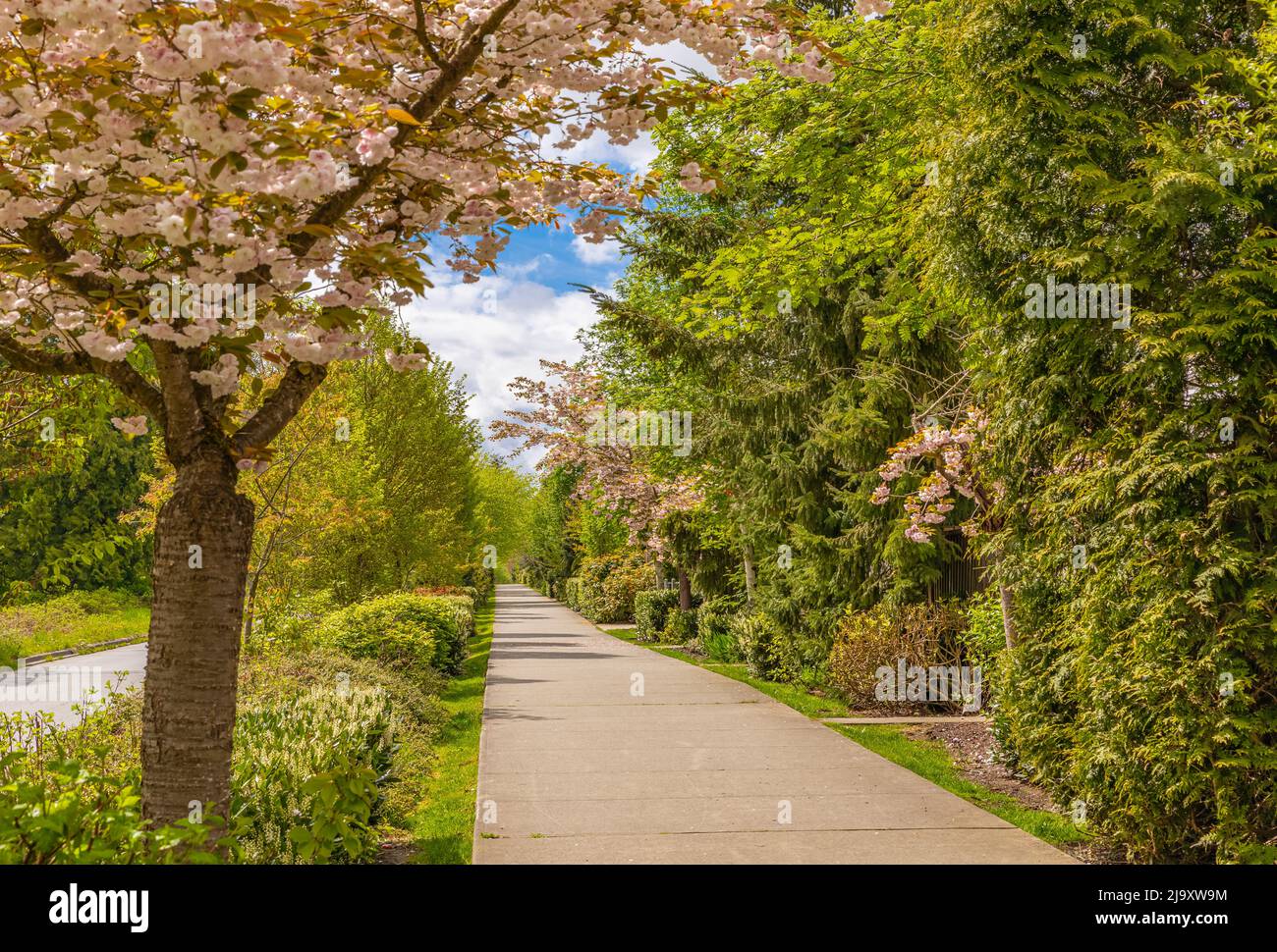 Path in the spring park. Walking. Landscape. A footpath walkway in the ...