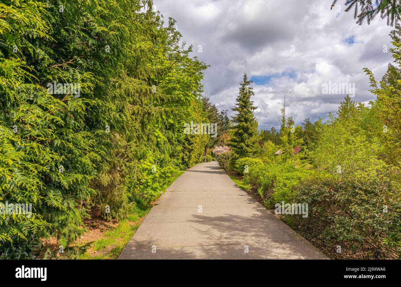 Path in the spring park. Walking. Landscape. A footpath walkway in the ...