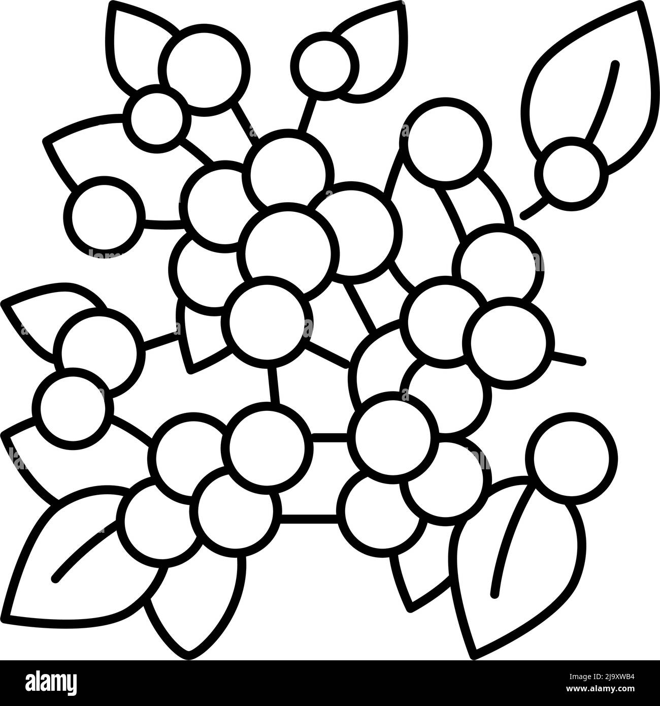 huckleberry plant branch line icon vector illustration Stock Vector ...