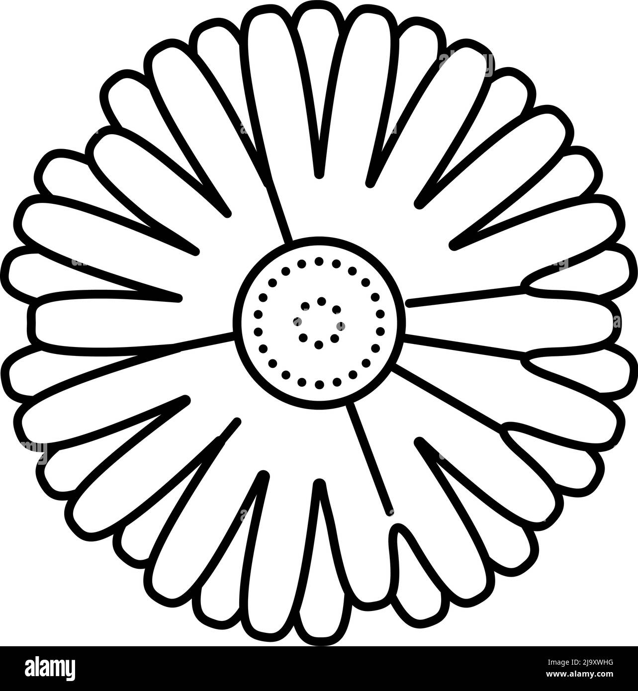 calendula flower bud line icon vector illustration Stock Vector Image ...