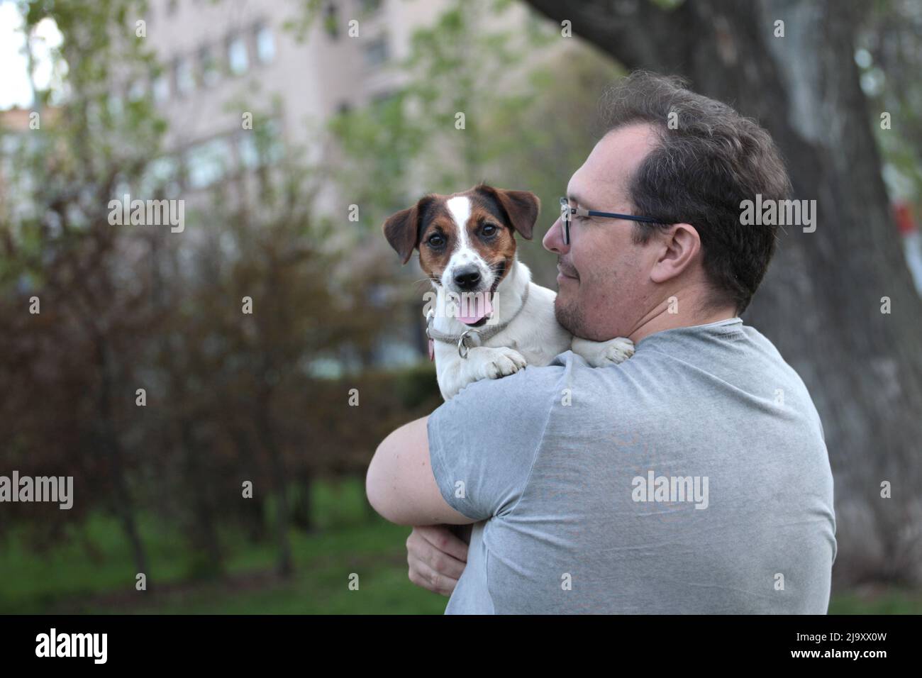 Positive not shaved, not combed plus size man with jack russell puppy ...