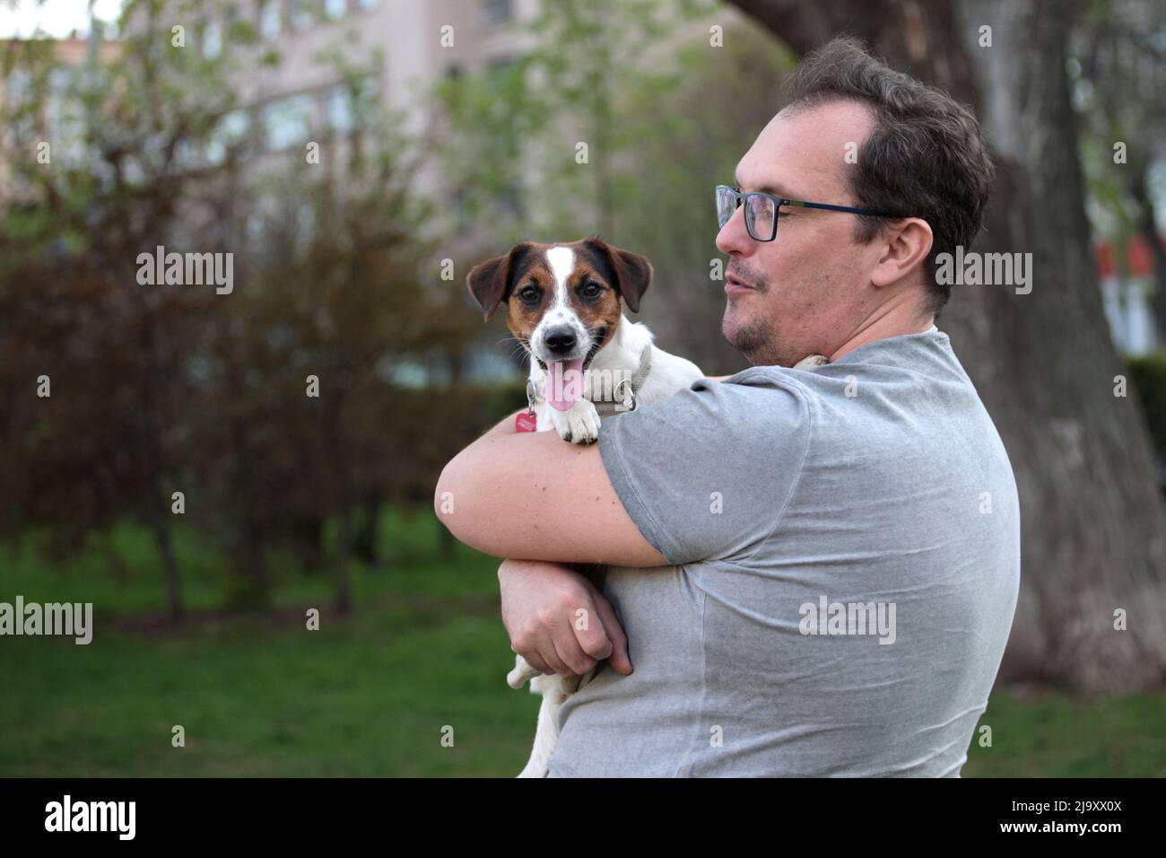 Positive not shaved, not combed plus size man with jack russell puppy ...