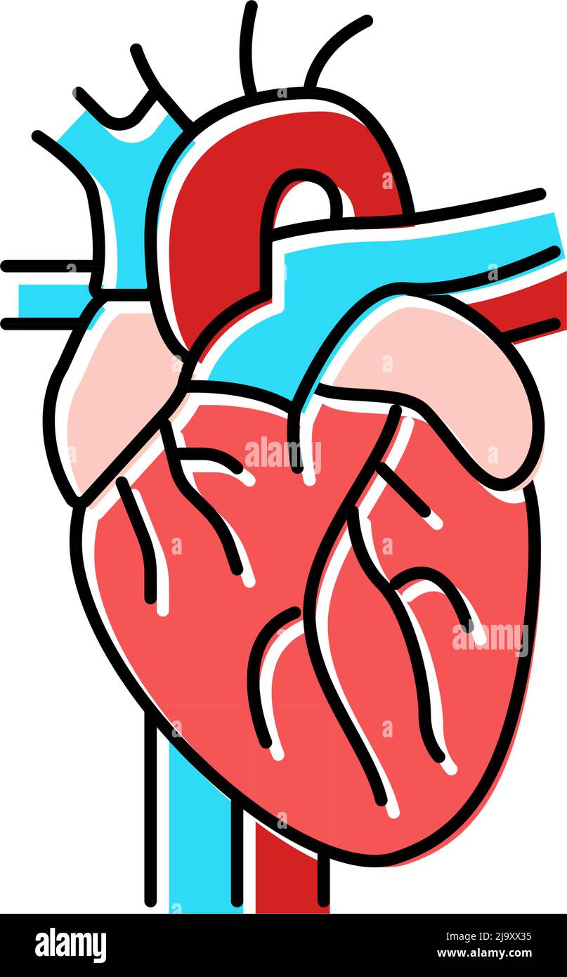 heart organ color icon vector illustration Stock Vector Image & Art - Alamy