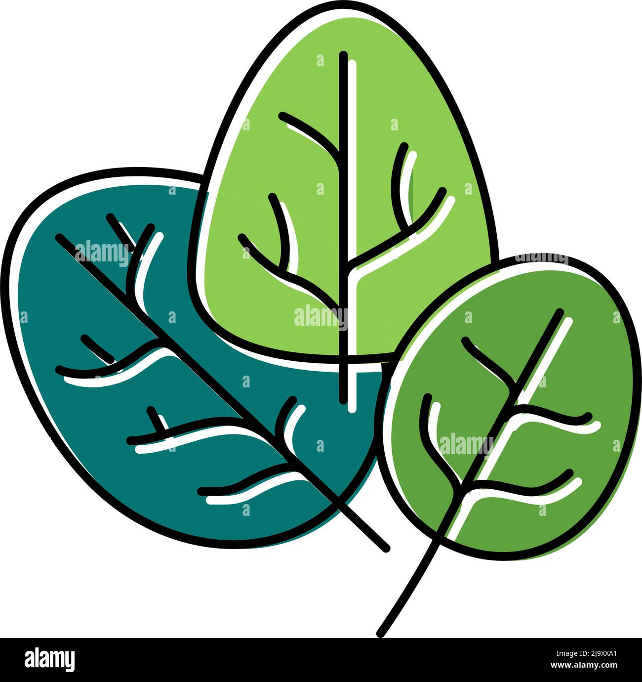spinach plant color icon vector illustration Stock Vector Image & Art ...