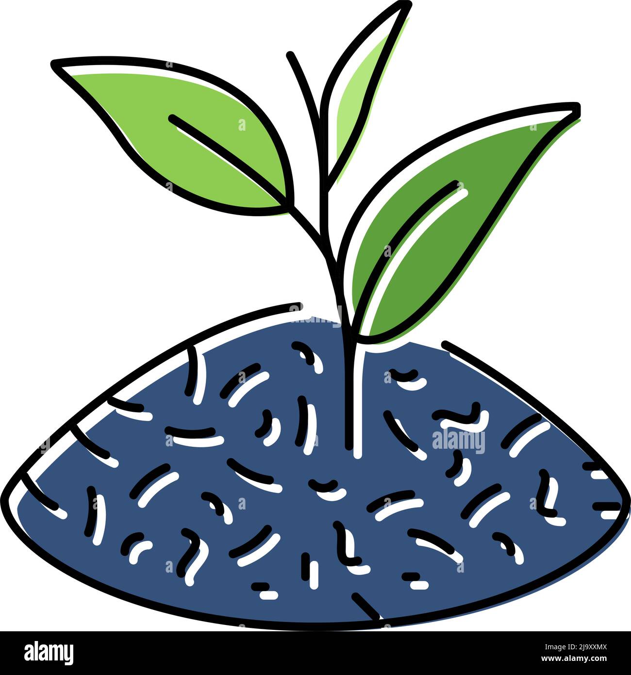 tea leaf color icon vector illustration Stock Vector Image & Art - Alamy