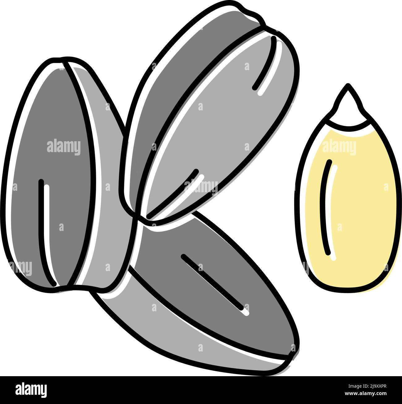 Oilseed sunflower Stock Vector Images - Alamy