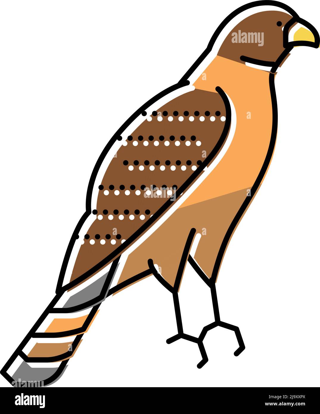 hawk bird color icon vector illustration Stock Vector Image & Art - Alamy