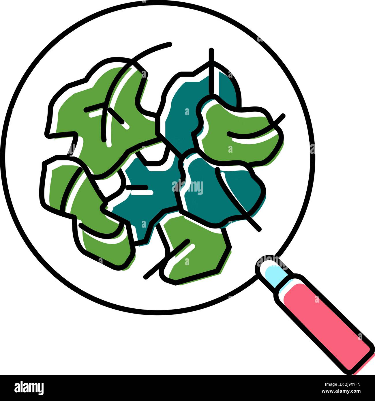 raw spinach color icon vector illustration Stock Vector Image & Art - Alamy