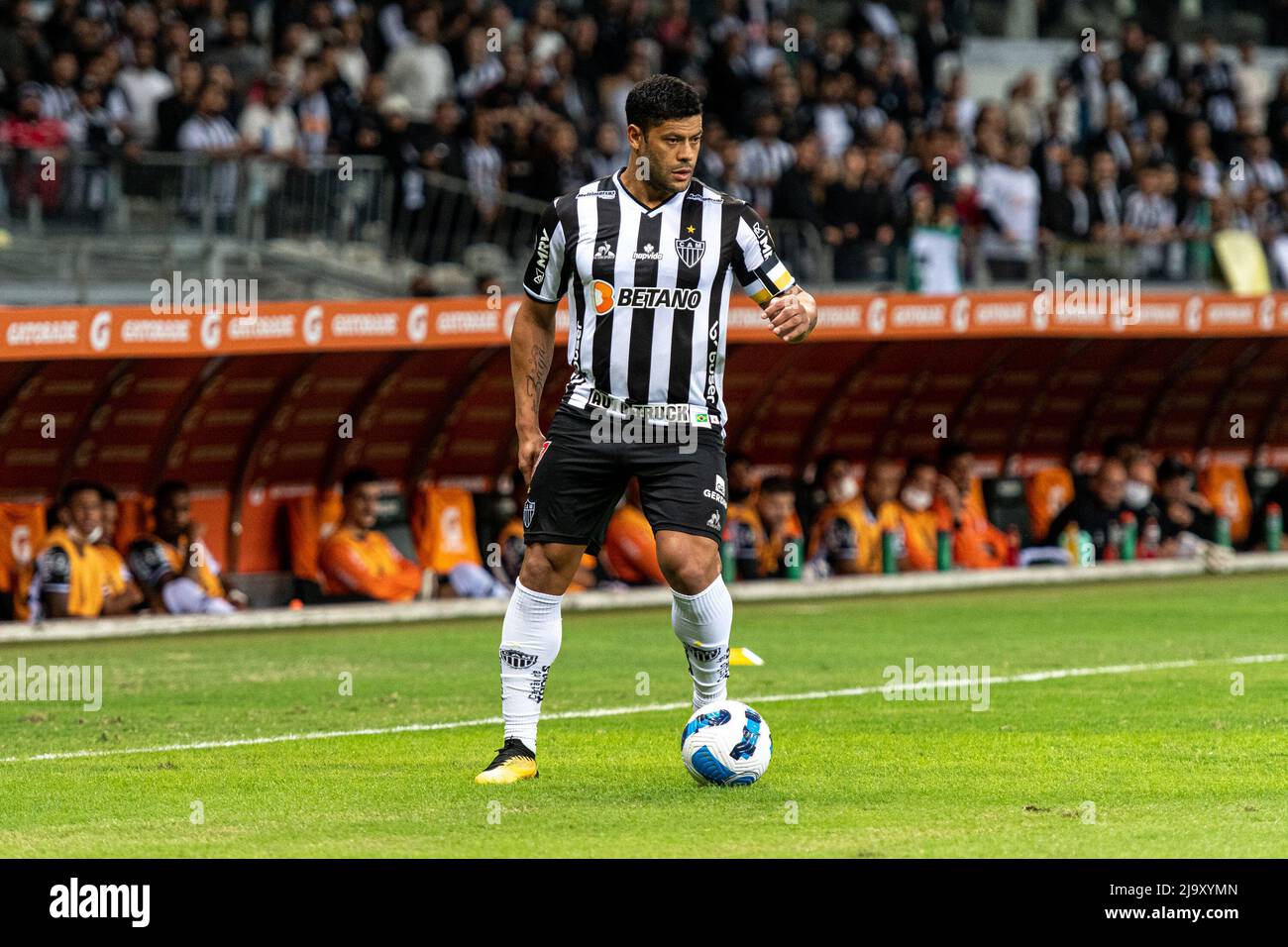 MG - Belo Horizonte - 05/25/2022 - LIBERTADORES 2022 ATLETICO -MG X ...