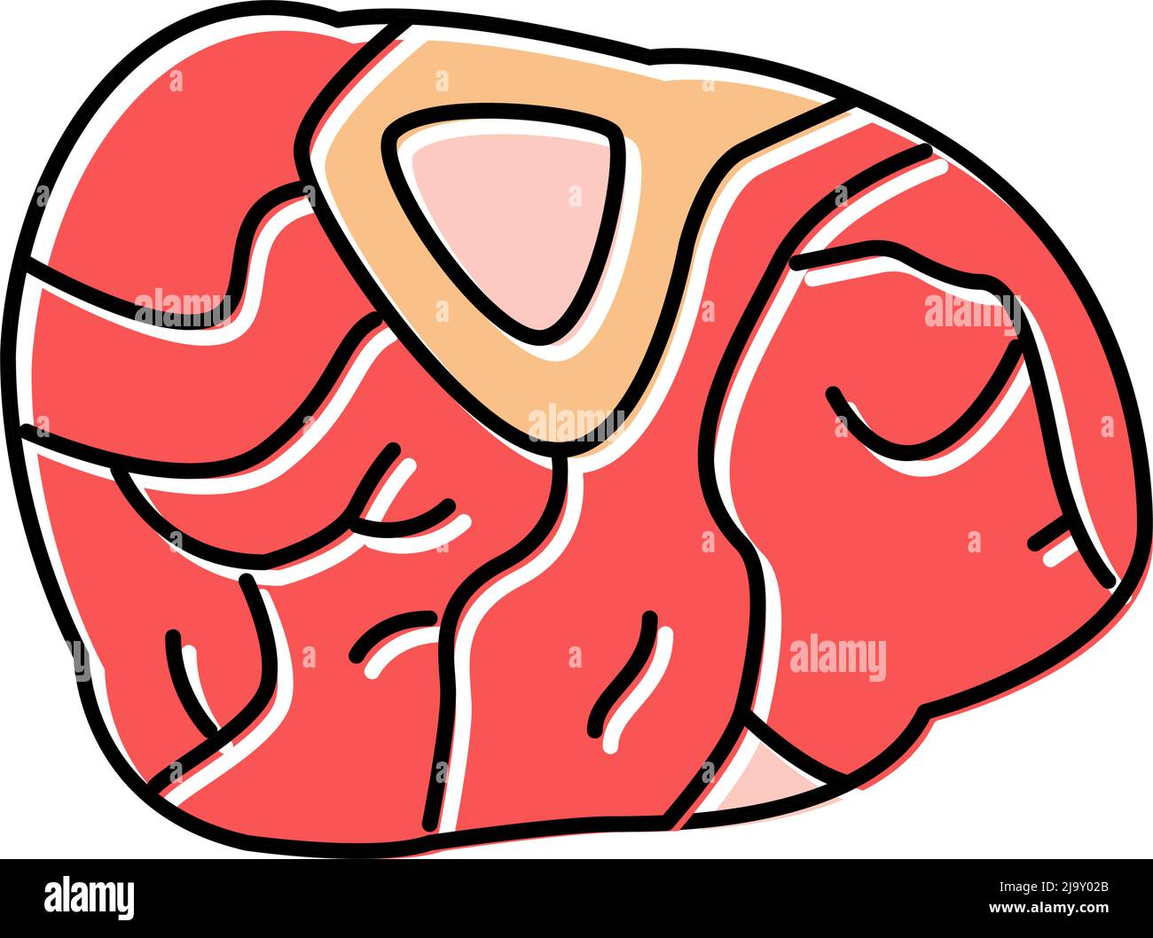 shank beef color icon vector illustration Stock Vector Image & Art - Alamy