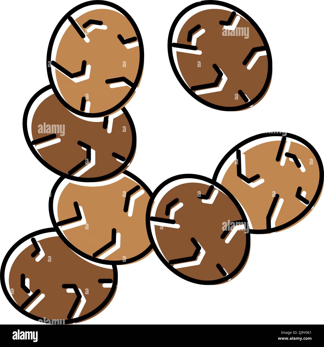 chia seed color icon vector illustration Stock Vector Image & Art - Alamy