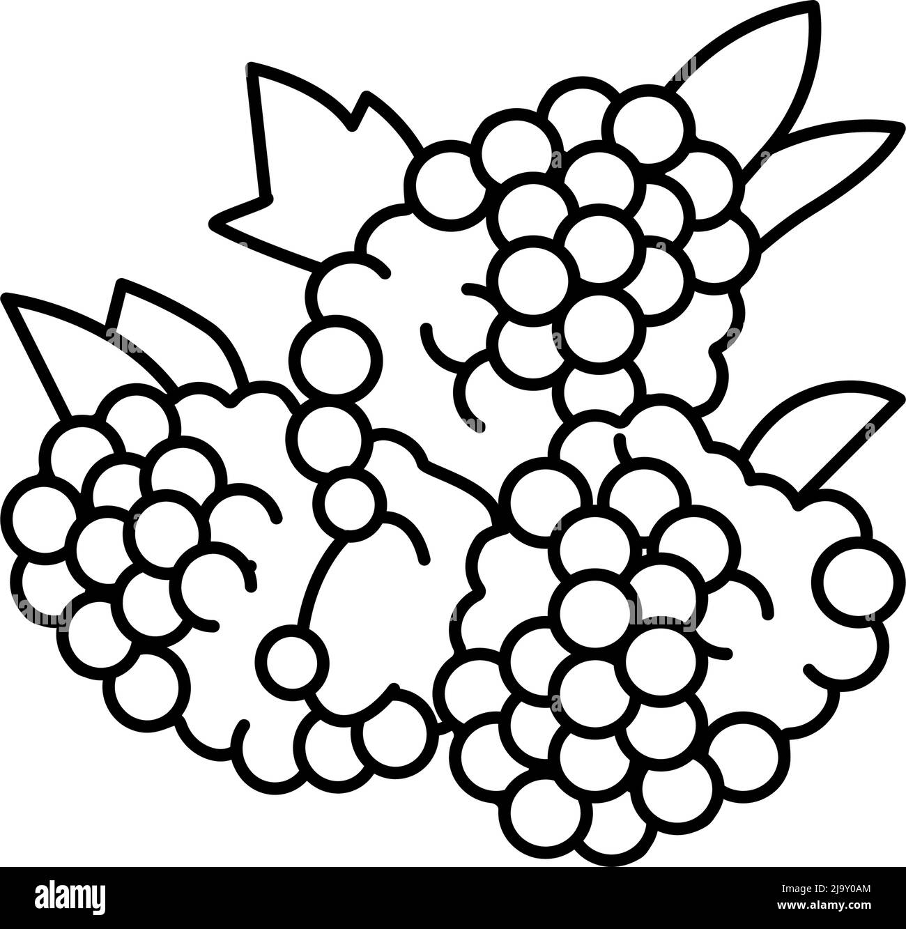 Raspberry tree leaves Black and White Stock Photos & Images - Alamy