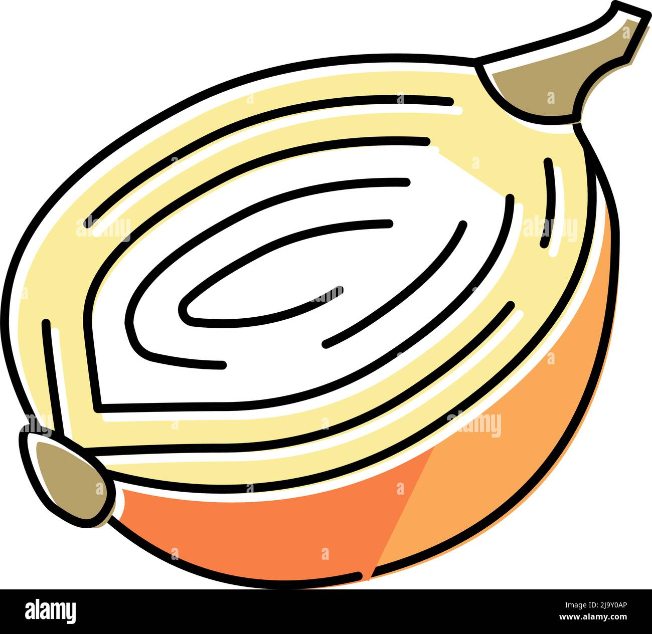 half onion color icon vector illustration Stock Vector Image & Art - Alamy