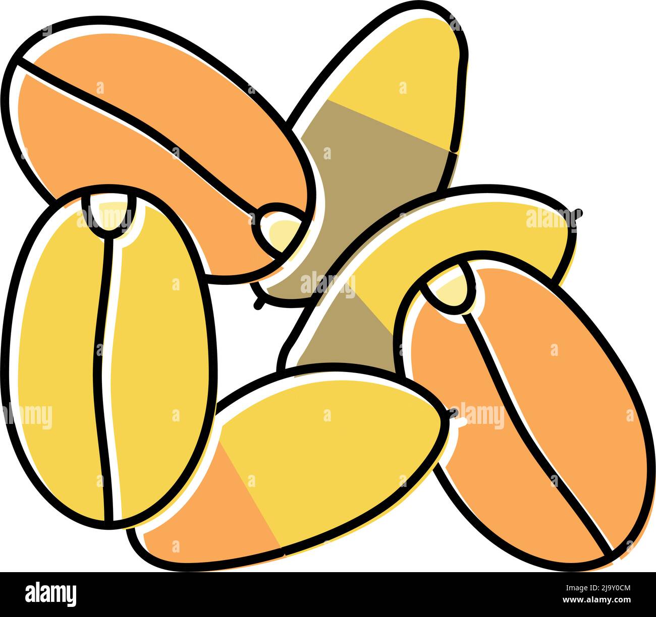 spelt seed color icon vector illustration Stock Vector Image & Art - Alamy