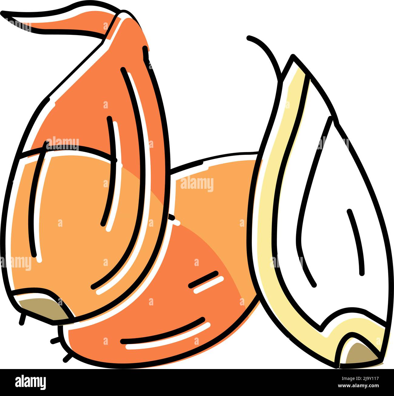 shallot onion color icon vector illustration Stock Vector Image & Art ...