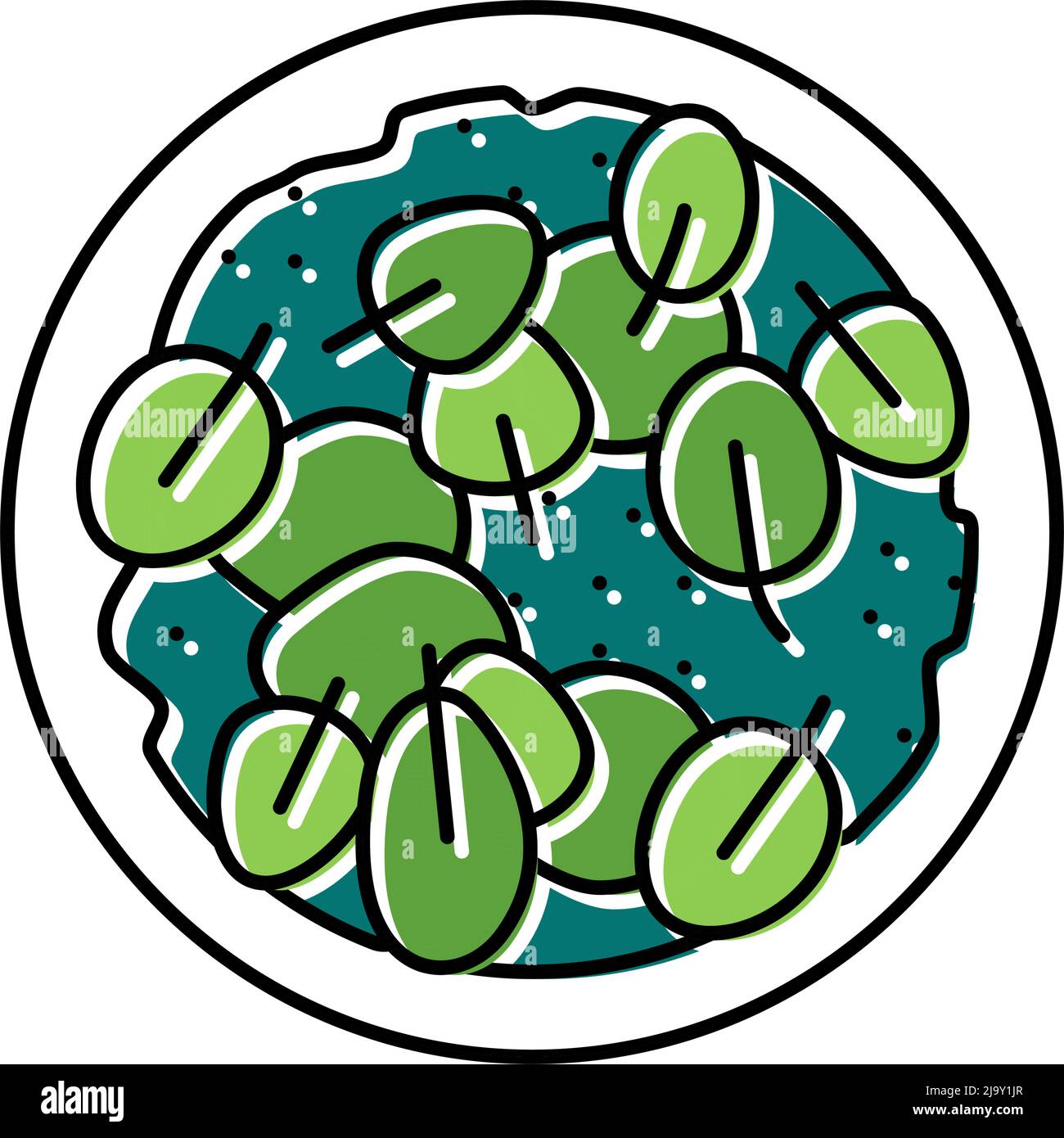 salad with spinach color icon vector illustration Stock Vector Image ...