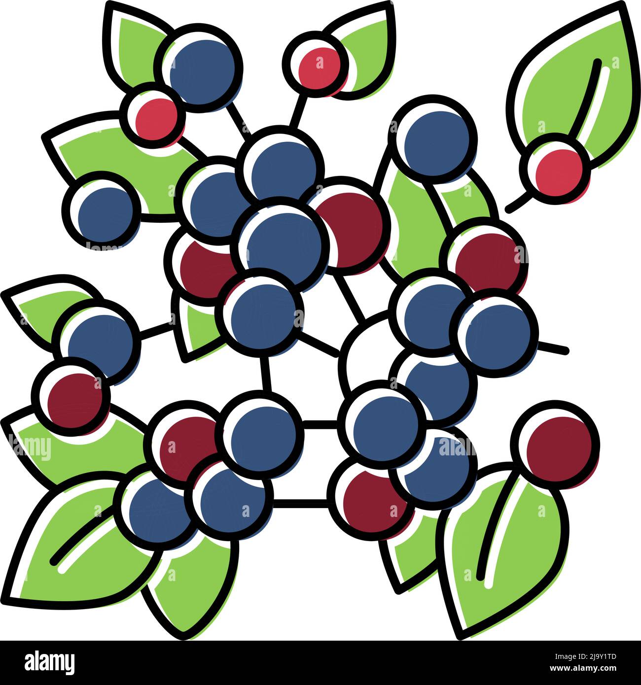 huckleberry plant branch color icon vector illustration Stock Vector ...