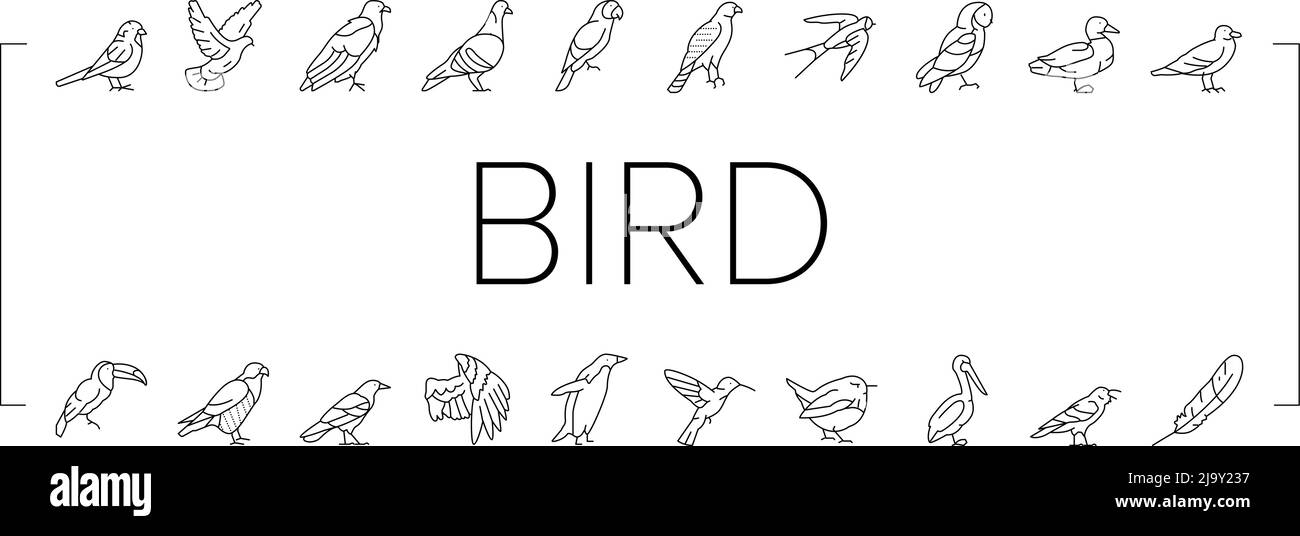Bird Flying Animal With Feather Icons Set Vector Stock Vector Image ...