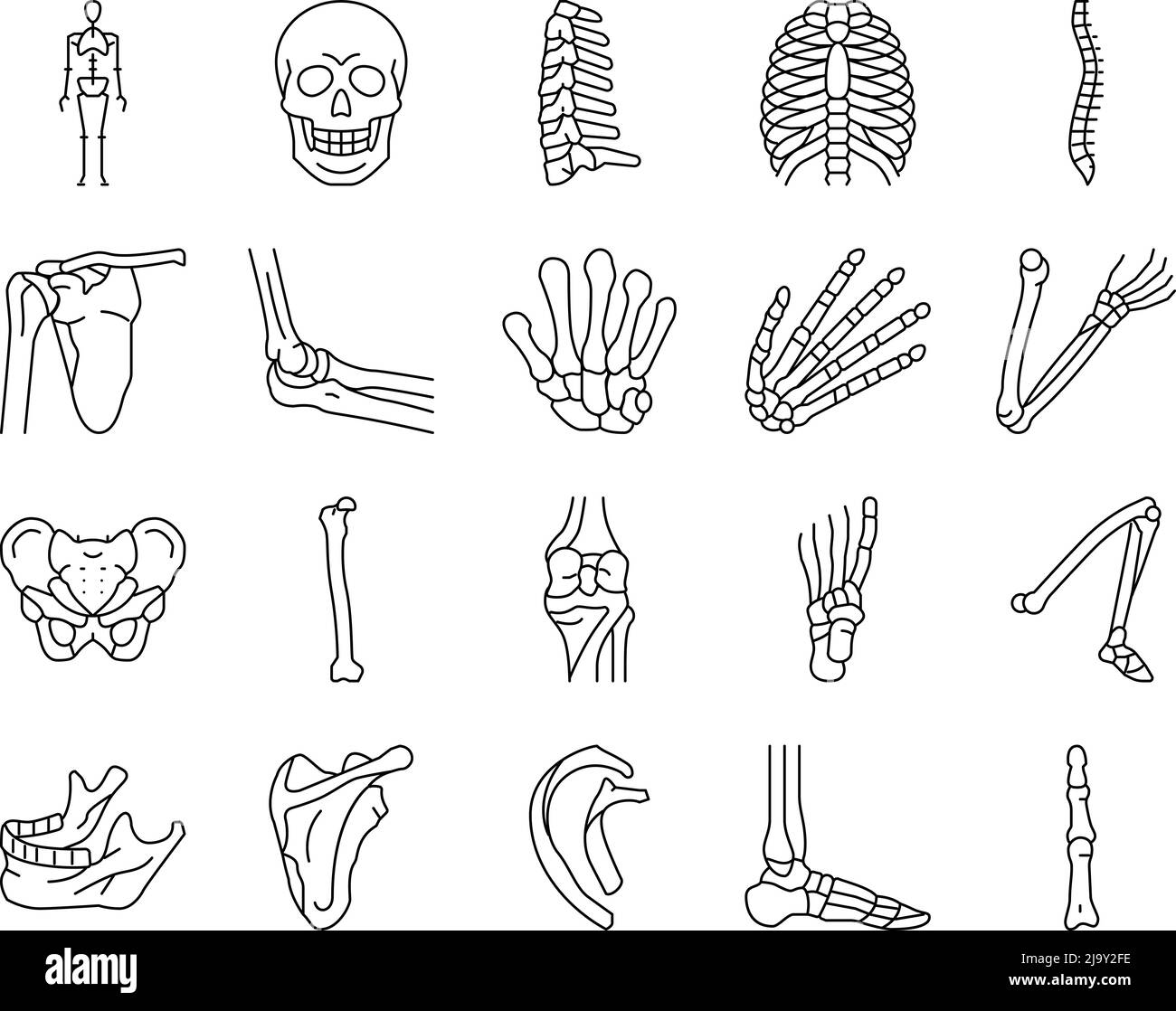 Bone Human Skeleton Structure Icons Set Vector Stock Vector Image & Art ...