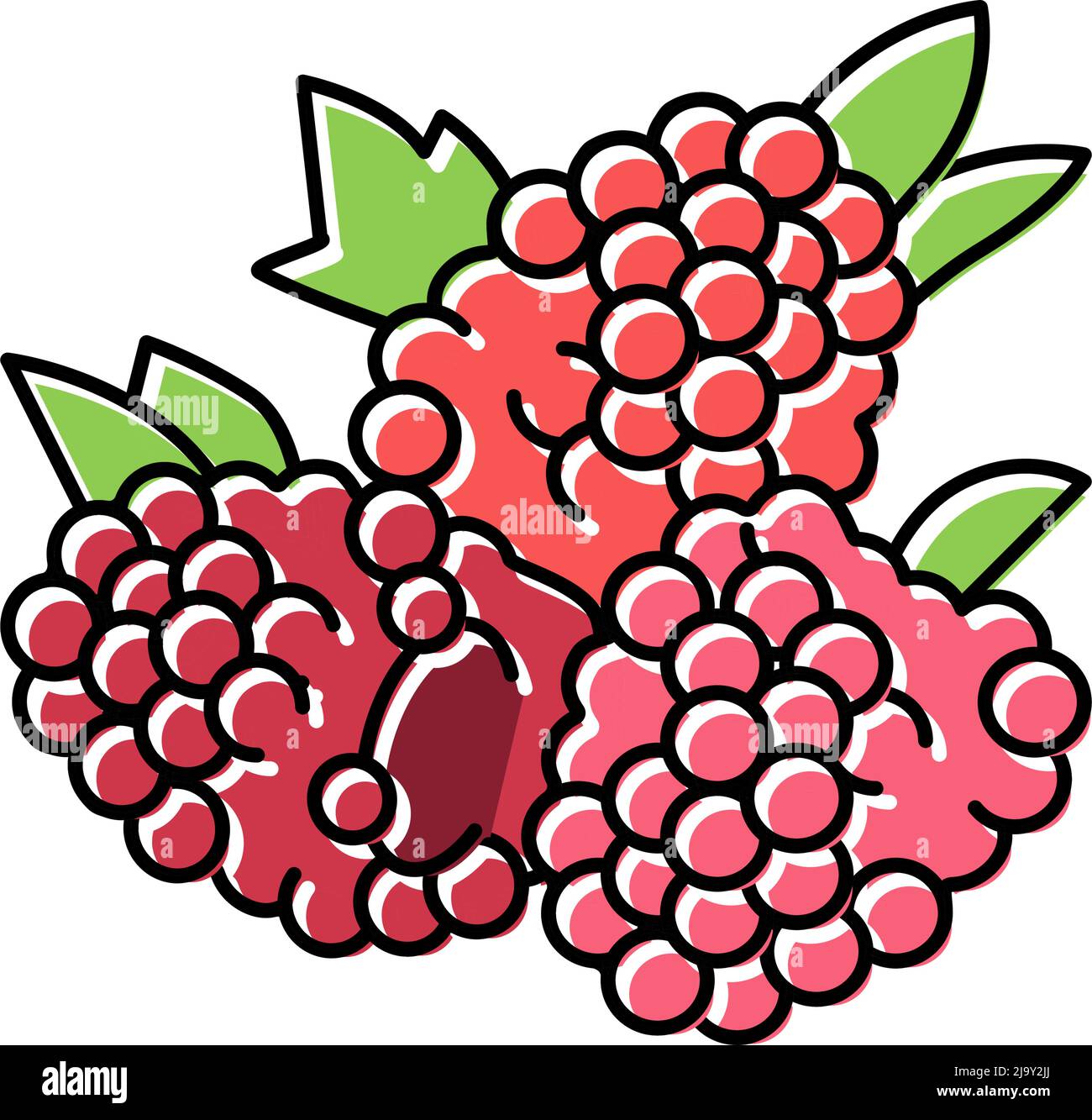 raspberry berry color icon vector illustration Stock Vector Image & Art ...