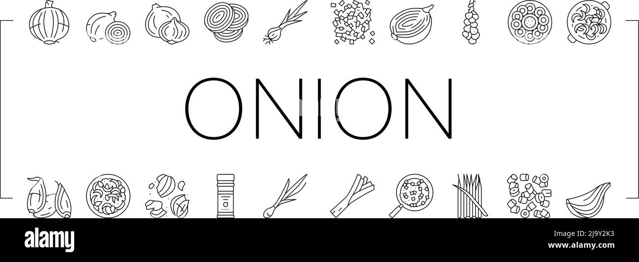Onion Fresh Vitamin Vegetable Icons Set Vector Stock Vector Image & Art ... Onion Fresh Vitamin Vegetable Icons Set Vector Stock Vector Image & Art ...