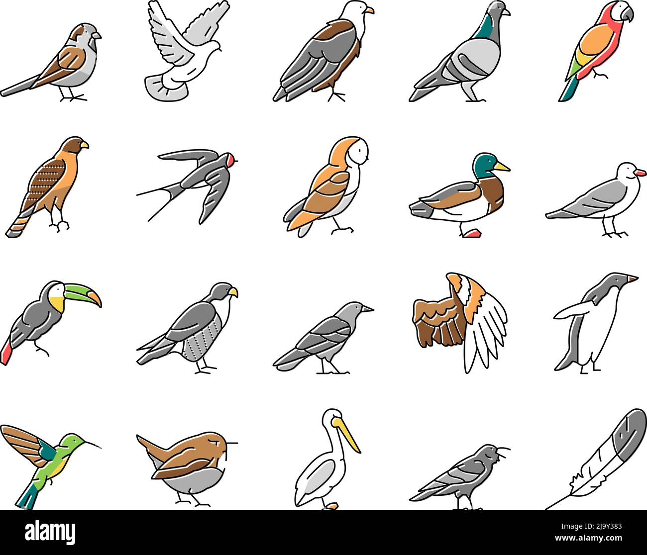 Bird Flying Animal With Feather Icons Set Vector Stock Vector Image ...