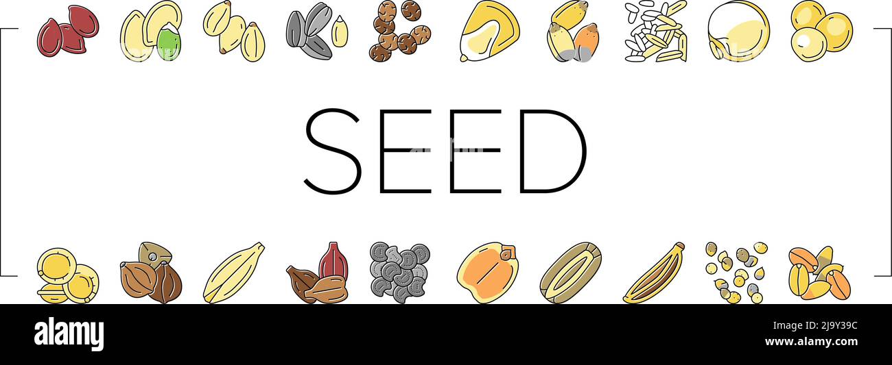 Seed Plant Agriculture Culture Icons Set Vector Stock Vector Image ...