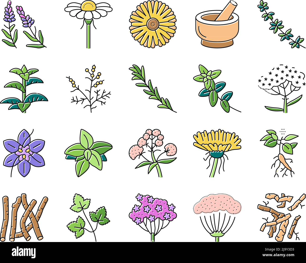 Medical Herb Natural Ingredient Icons Set Vector Stock Vector Image ...