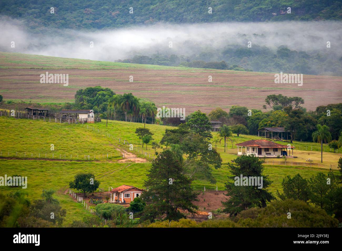Farms at a rural area of Sengés, Paraná, Brazil Stock Photo - Alamy