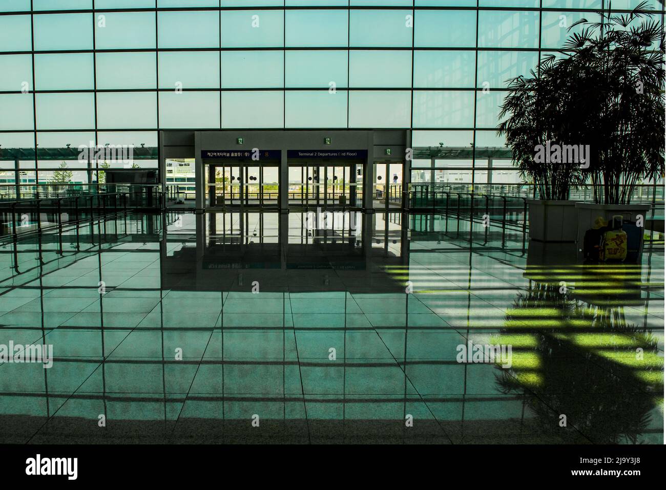 The beautiful lamp light through the pedestrian and walker road Stock ...