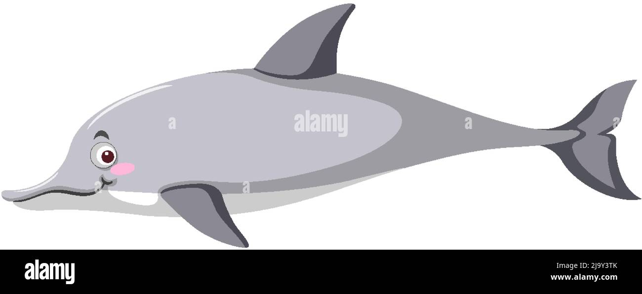 Grey dolphin in cartoon style illustration Stock Vector Image & Art - Alamy