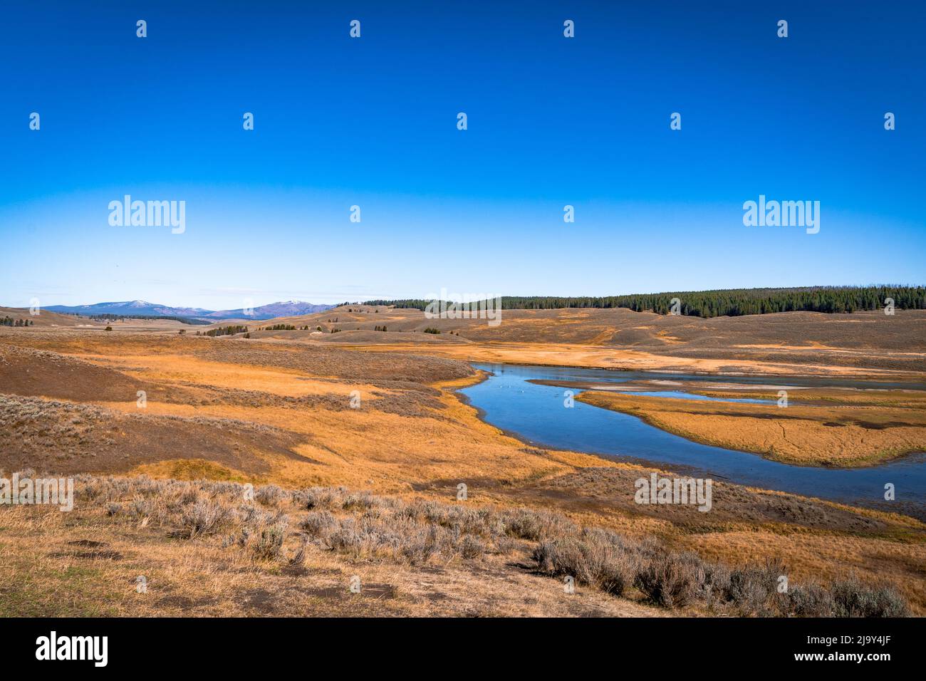 Beautiful river in yellowstone park hi-res stock photography and images ...