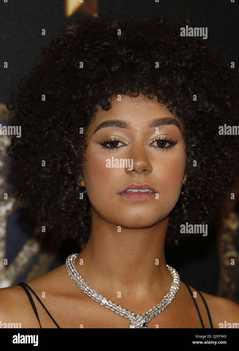 Lena Situations attends the "Elvis" after party at Stephanie Beach ...