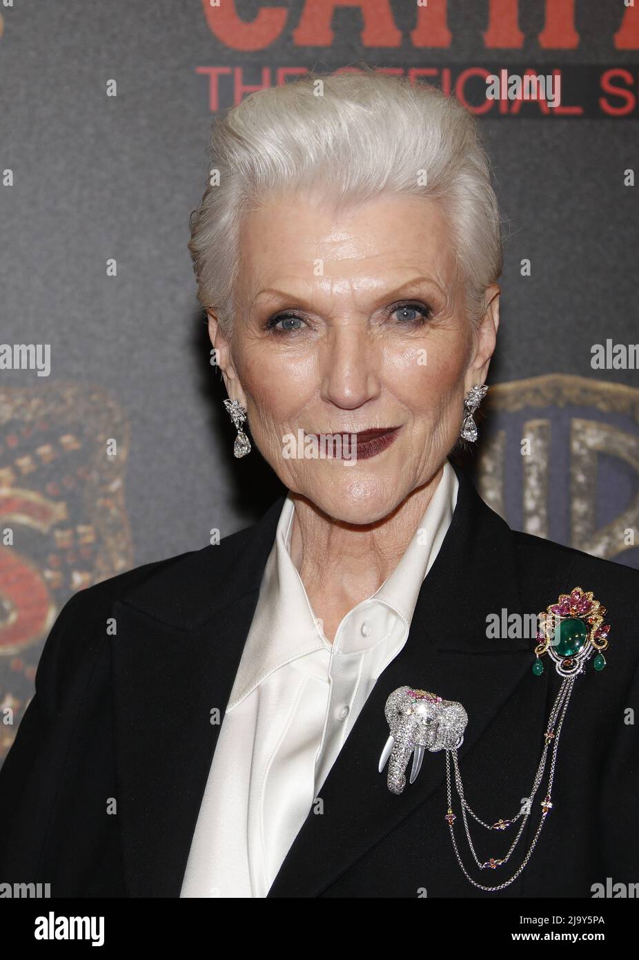Cannes, France. 25th May, 2022. Maye Musk attends the "Elvis" after ...