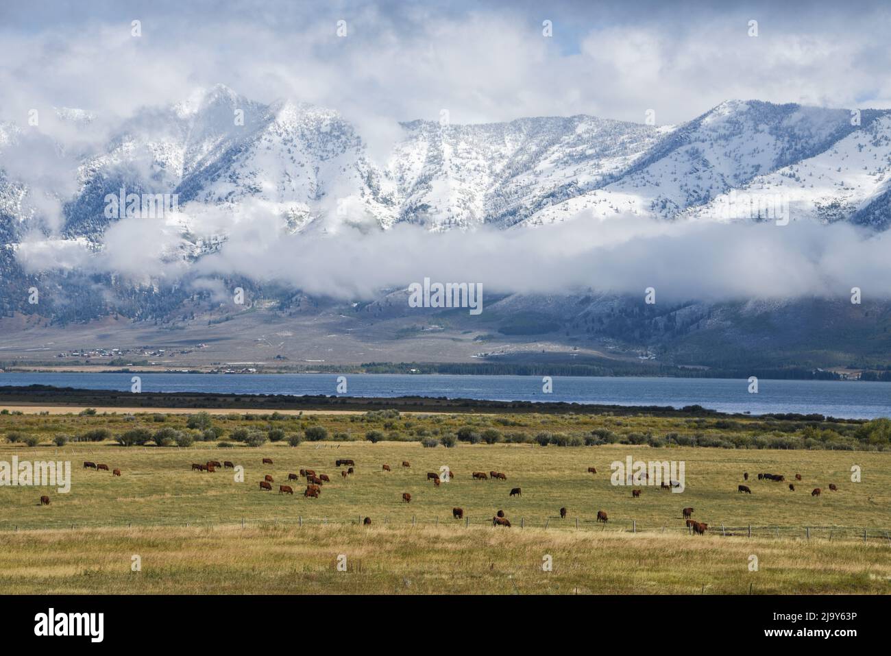 Henrys Lake and Henrys Lake Mountains, livestock grazing, compatible ...