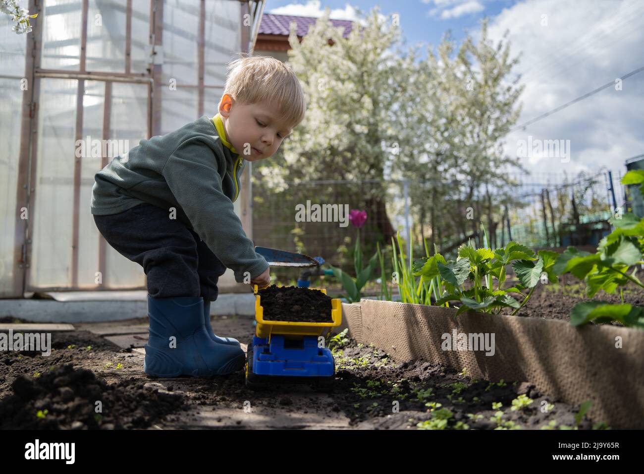 Active boy preschooler with blonde hair playing with a plastic truck in ...