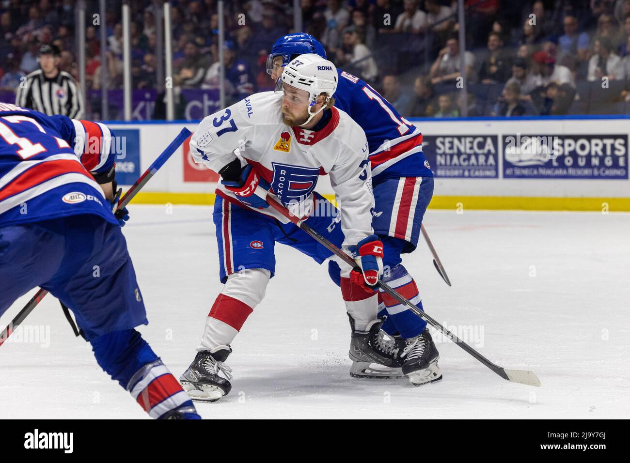May 25, 2022: Laval Rocket forward Brandon Gignac (37) skates in the ...