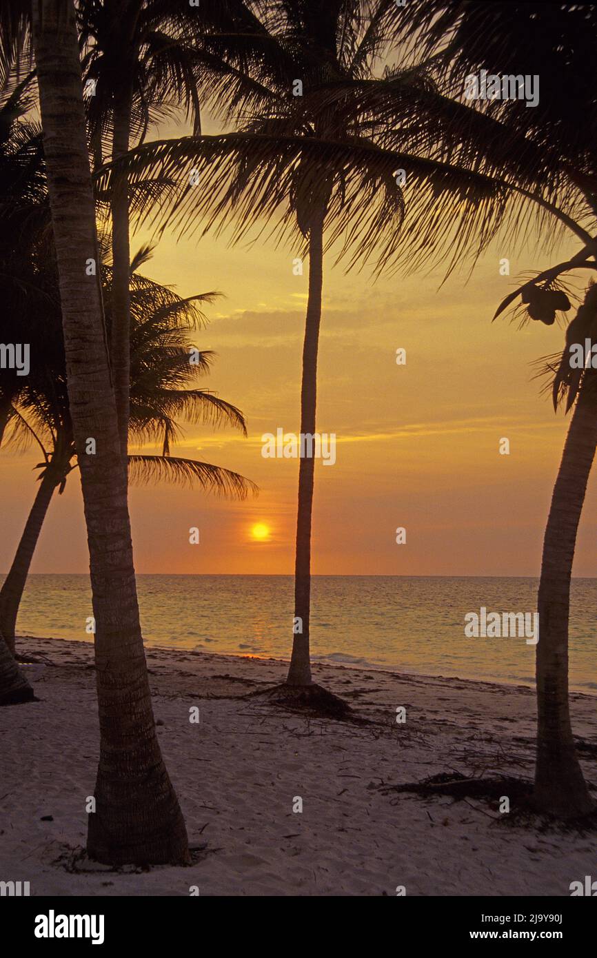 Romantischer sonnenuntergang am strand hi-res stock photography and ...