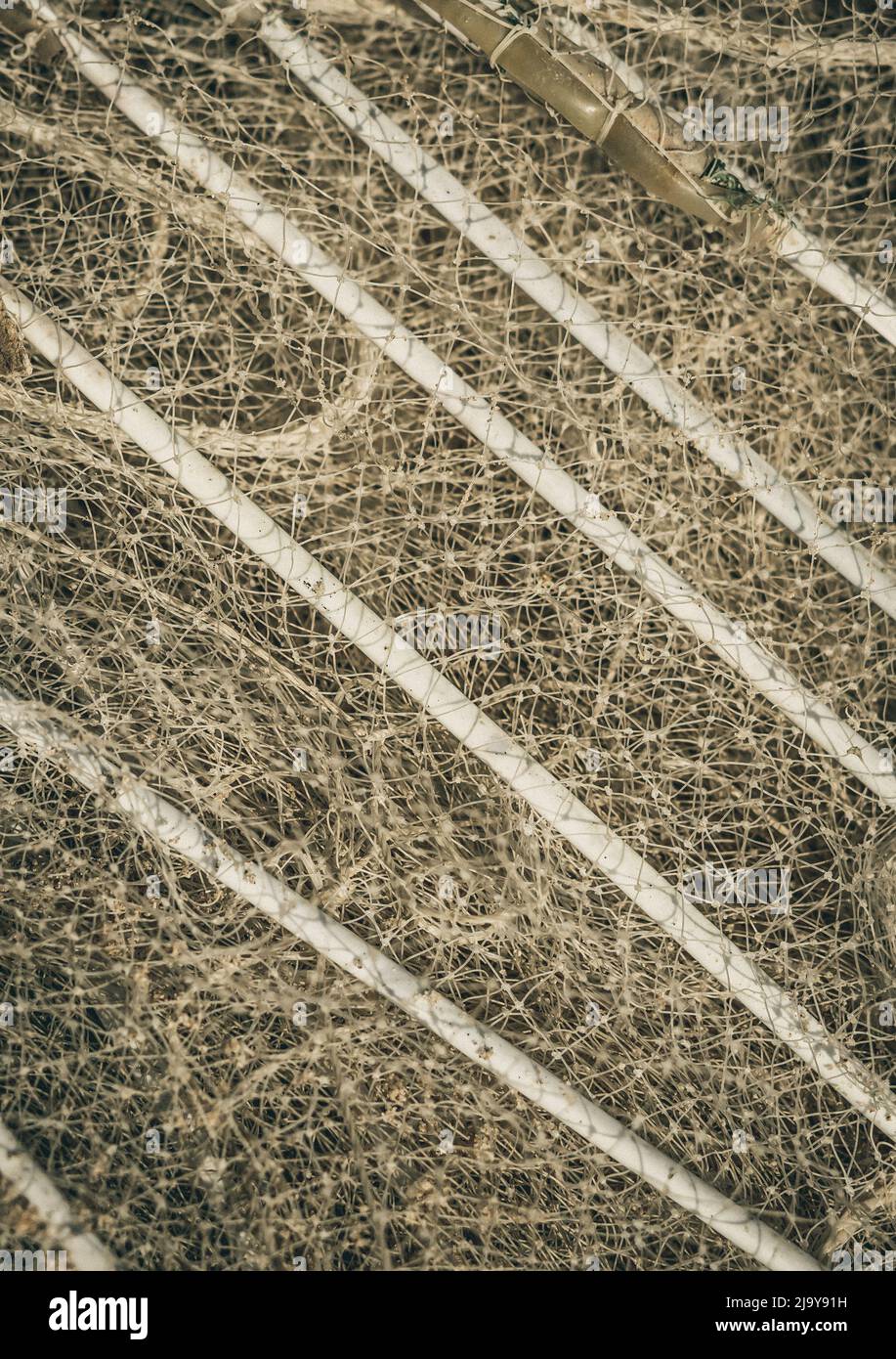 VERTICAL abstract close macro real photo beautiful wallpaper. Fisherman ...