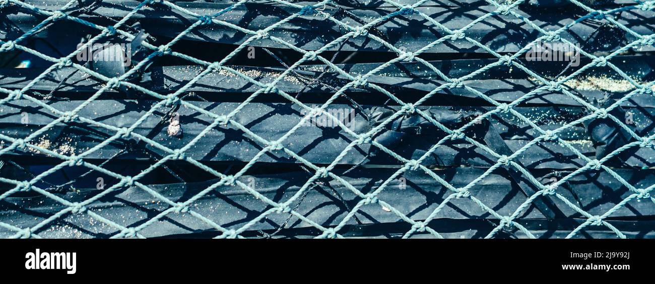 BANNER abstract close-up macro real photo beautiful wallpaper ...